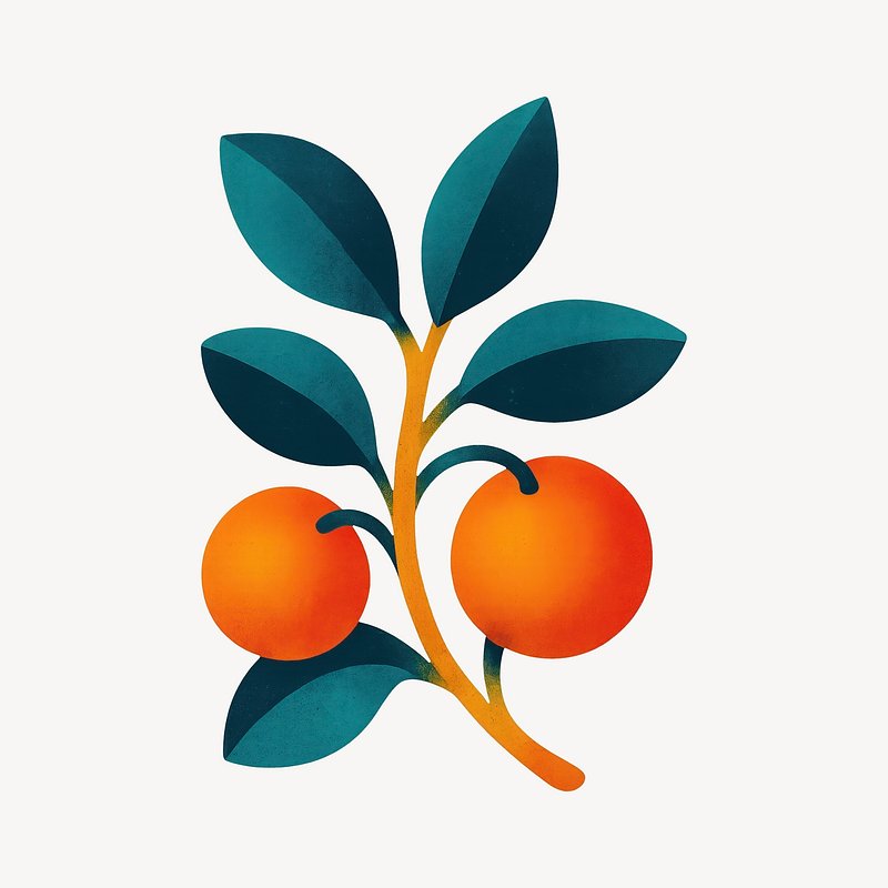 Vintage Botanical Fruits Black Shadow Transparent Images | Free Photos ...