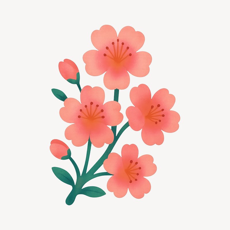 Pink+blossom Illustration Images | Free Photos, PNG Stickers ...