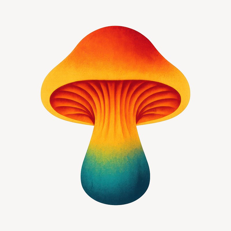 Mushroom+design PNG Images | Free Photos, PNG Stickers, Wallpapers ...