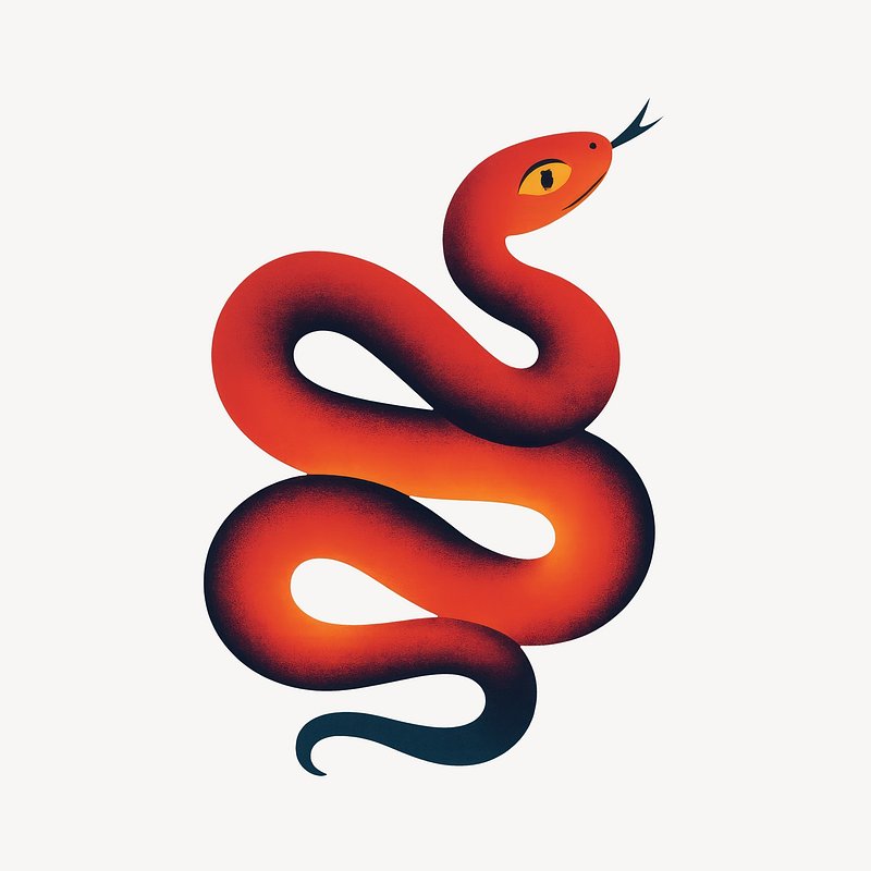 Snake Background Animal Transparent Design Vintage Images | Free Photos ...