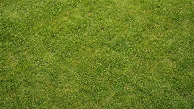 Light And Shadows Landscapes Background Design Wallpaper Images | Free ...