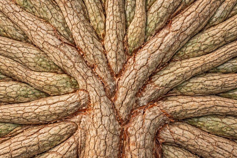 Sky Blood Texture Images | Free Photos, PNG Stickers, Wallpapers ...