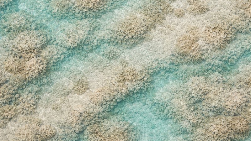 Real+life+backgrounds Sky Scenery Images | Free Photos, PNG Stickers ...