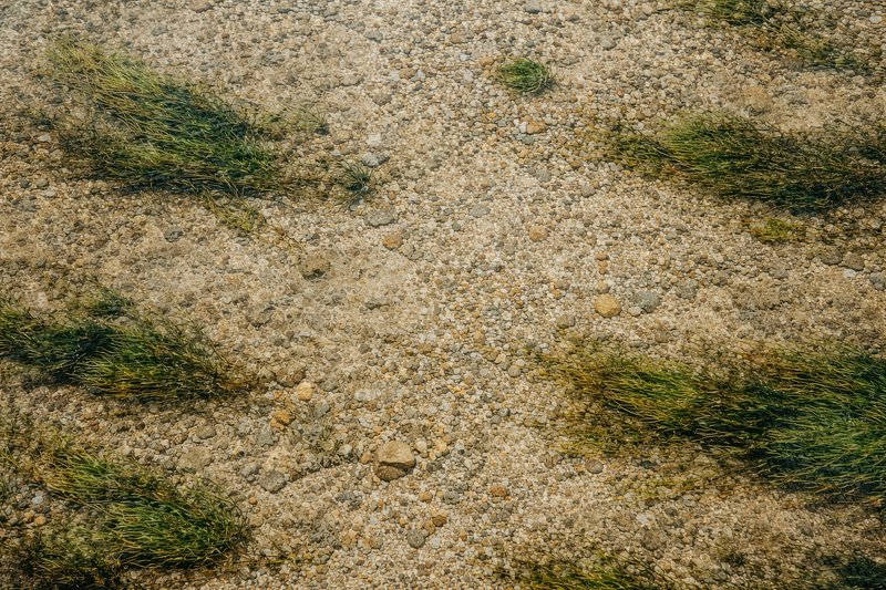 Underwater+photo Background Shadow Images | Free Photos, PNG Stickers ...