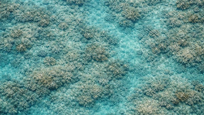 Real+life+backgrounds Sky Scenery Images | Free Photos, PNG Stickers ...