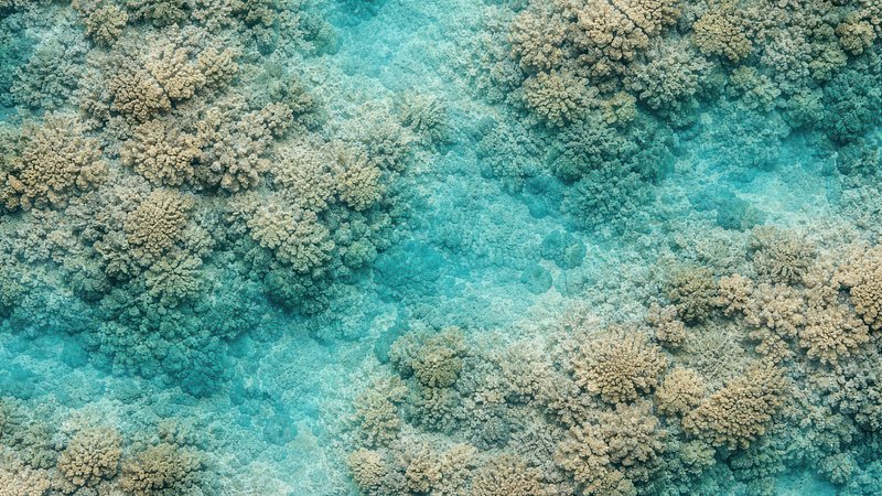 Real+life+backgrounds Sky Texture Images | Free Photos, PNG Stickers ...