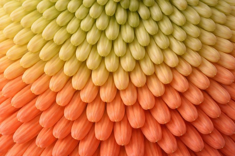 Calm Gradient Wallpaper Shadows People Texture Images | Free Photos ...