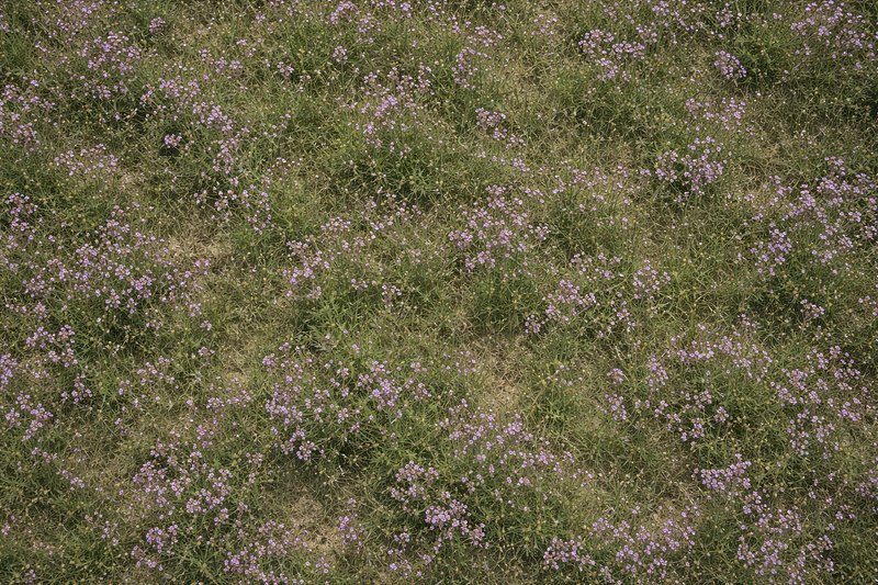 Study+wallpaper Background Images | Free Photos, PNG Stickers ...