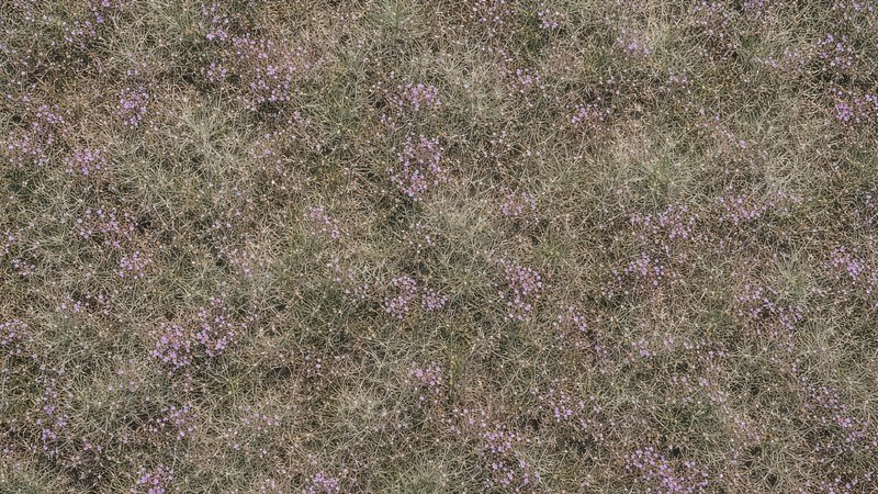 Light Study Design Shadow Images | Free Photos, PNG Stickers ...