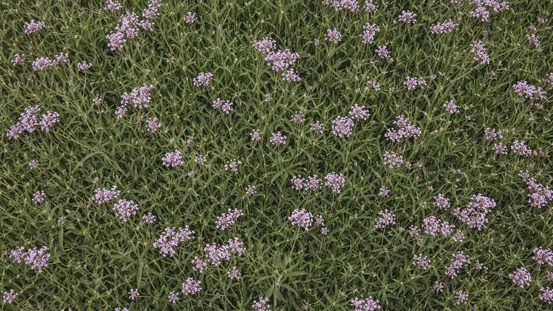 Light Study Design Texture Images | Free Photos, PNG Stickers ...