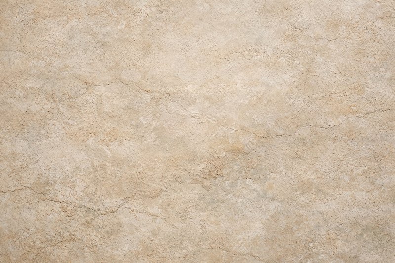 Wallpaper For Ladies Plant JPG Texture Images | Free Photos, PNG ...