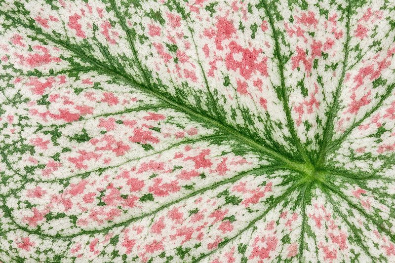 Desktop Pink Sky Wallpaper Patterns Background Images | Free Photos ...