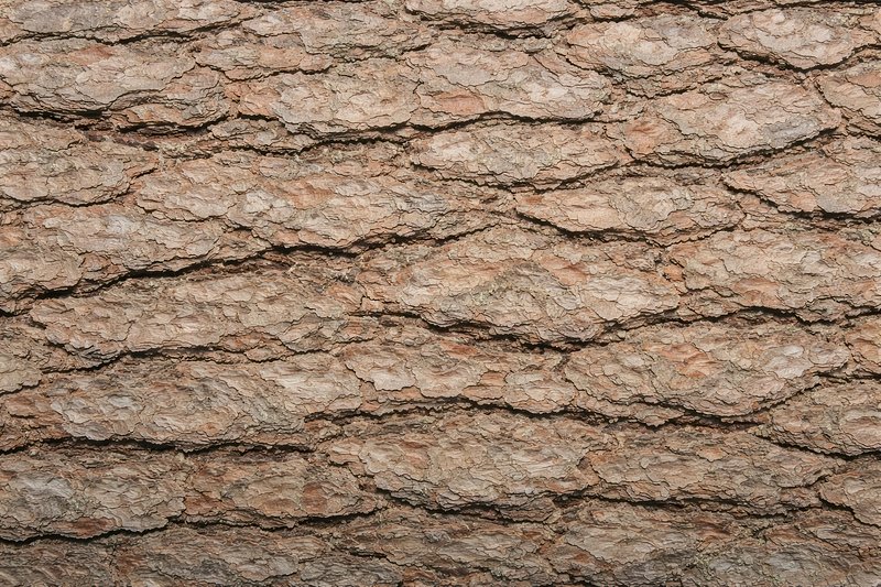 Wallpaper+western Sky Images | Free Photos, PNG Stickers, Wallpapers ...