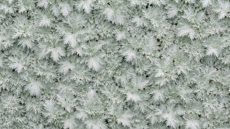 Missing+photo+image Images | Free Photos, PNG Stickers, Wallpapers ...