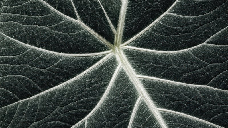 Velvet+wallpaper Sky Images | Free Photos, PNG Stickers, Wallpapers ...