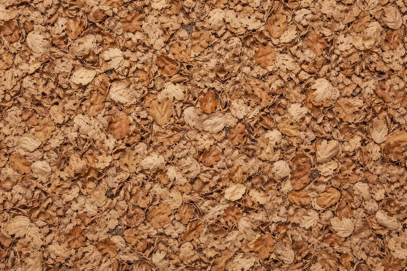 Desktop Wallpaper Earthy Calm Natural Patterns Images | Free Photos ...