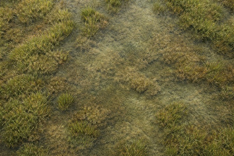 Light And Shadows Landscapes Background Design Wallpaper Images | Free ...