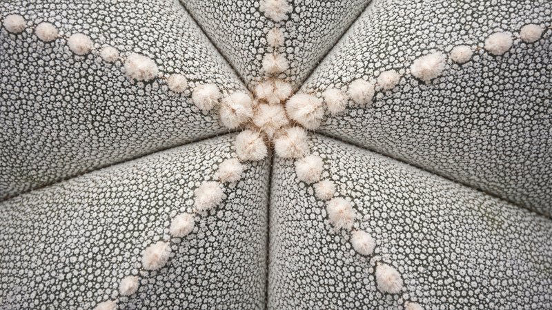 Real+life+backgrounds Sky Texture Images | Free Photos, PNG Stickers ...