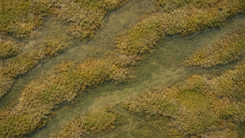 Light And Shadows Landscapes Background Nature Desktop Wallpaper Images ...