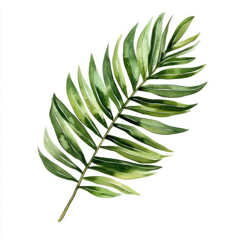 Tropical Branches Watercolor Images | Free Photos, PNG Stickers ...