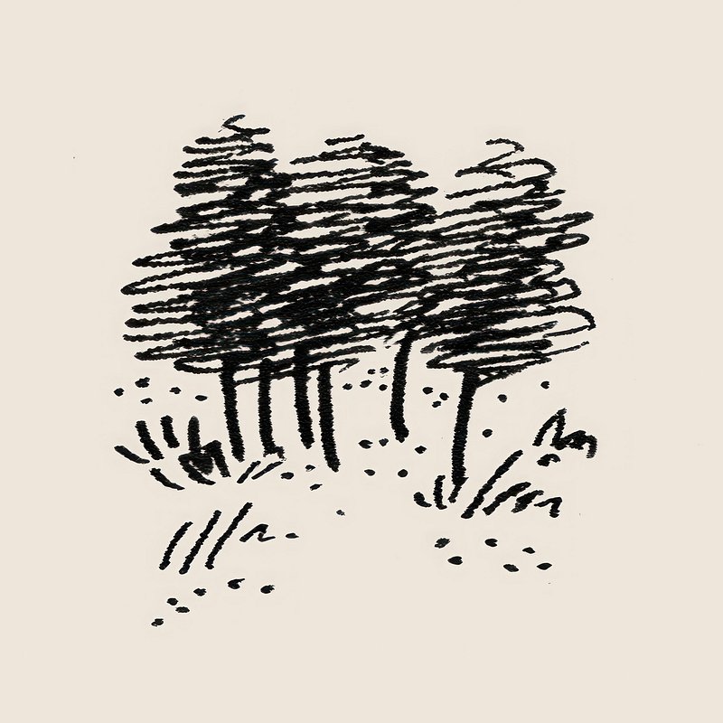 Hand+tree Design Black Drawing Images | Free Photos, PNG Stickers ...