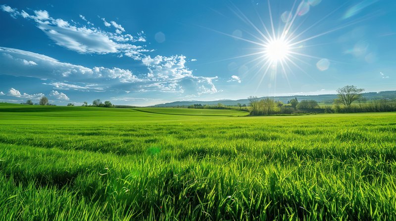 Clear Field Scenery Images | Free Photos, PNG Stickers, Wallpapers ...