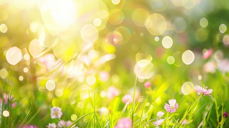 Desktop Wallpaper Sunlight Light Scenery Background Images | Free ...