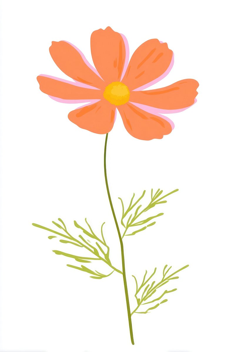 Orange Cosmos Flower Art Illustration Design Images | Free Photos, PNG ...