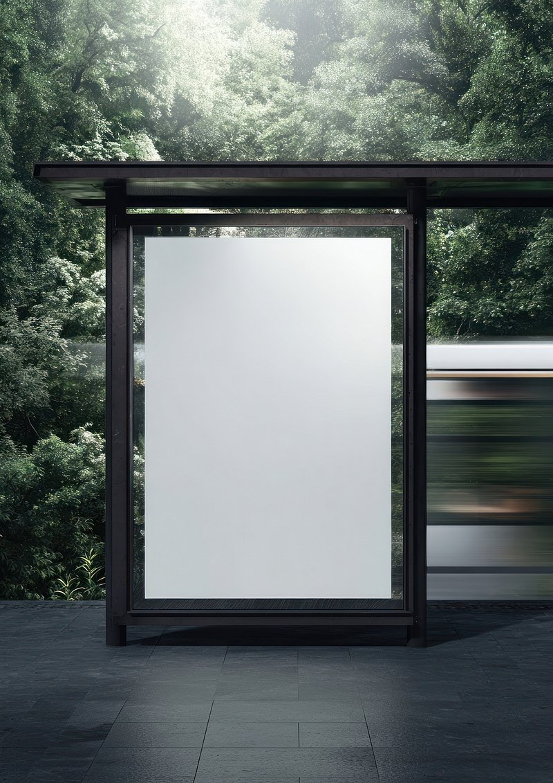 Forest Shadow Nature Background Trees Images | Free Photos, PNG ...