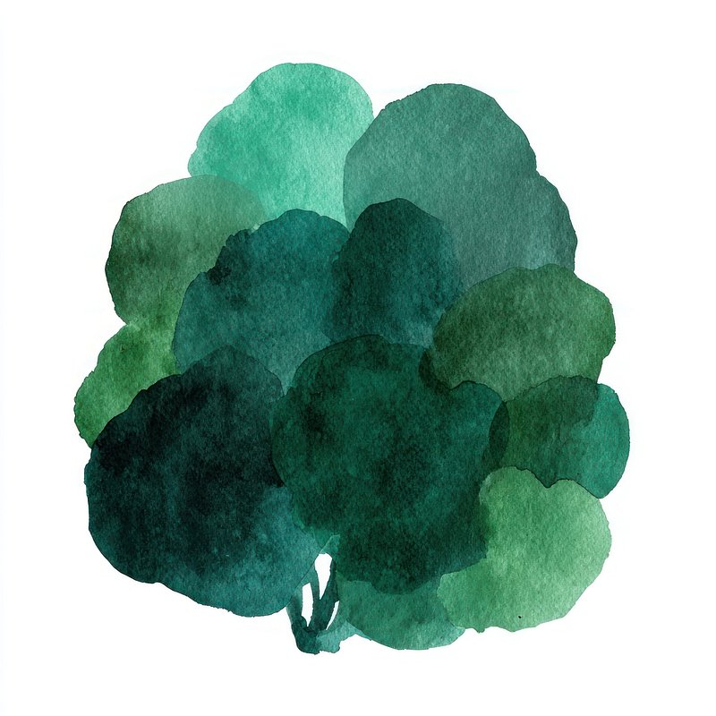 Dark Forest Image Images | Free Photos, PNG Stickers, Wallpapers ...