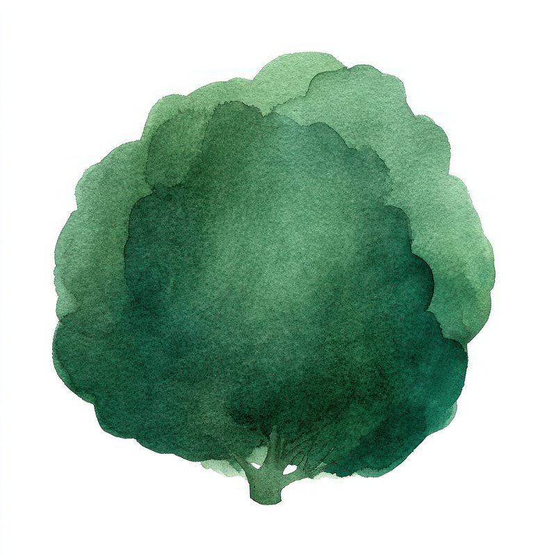 Dark Forest Image Images | Free Photos, PNG Stickers, Wallpapers ...