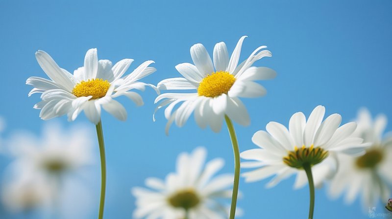 Clear+sky+wallpaper Background Images | Free Photos, PNG Stickers ...