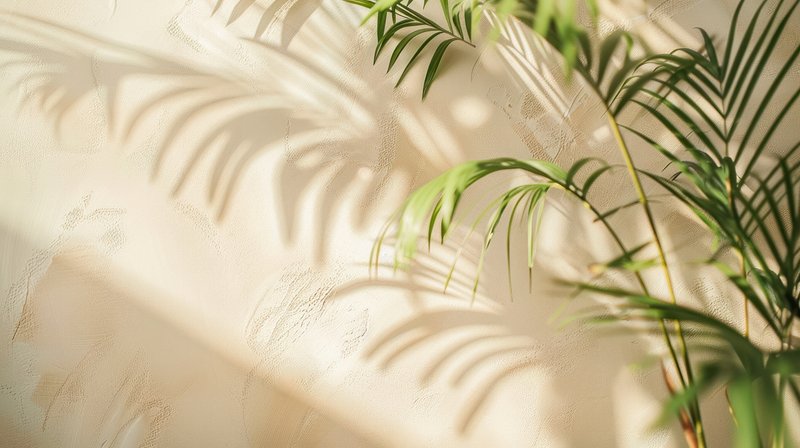 Wallpaper+for+walls Shadow Images | Free Photos, PNG Stickers ...