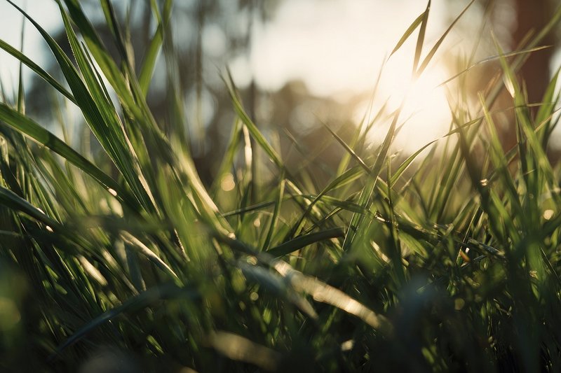 Bladed Green Light Images | Free Photos, PNG Stickers, Wallpapers ...