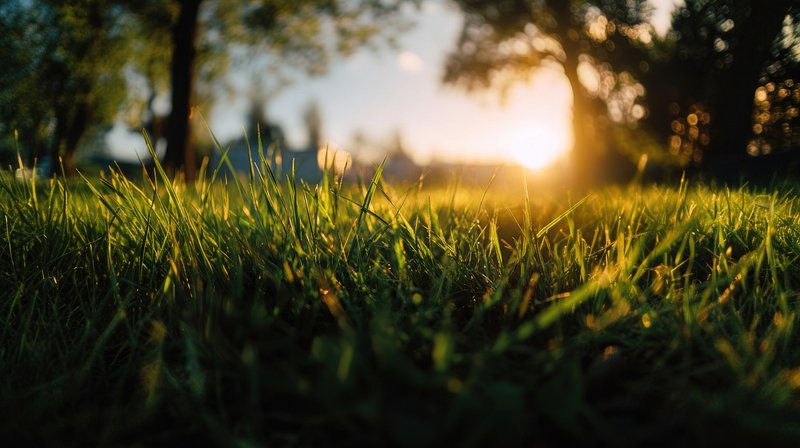 Sun Light Sunrise Background Wallpaper Images | Download Free Design ...