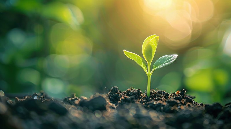 Live+desktop+wallpaper Image Life Nature Outdoors Images | Free Photos ...