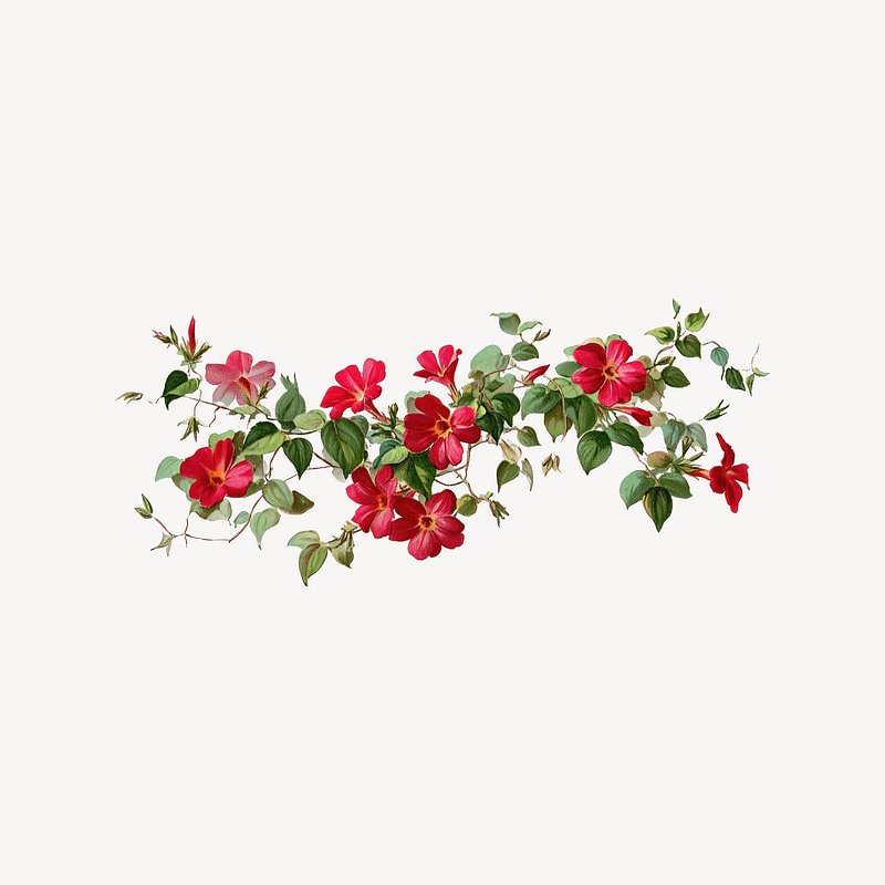 Border+of+leaves+ Green Illustration Images | Free Photos, PNG Stickers ...