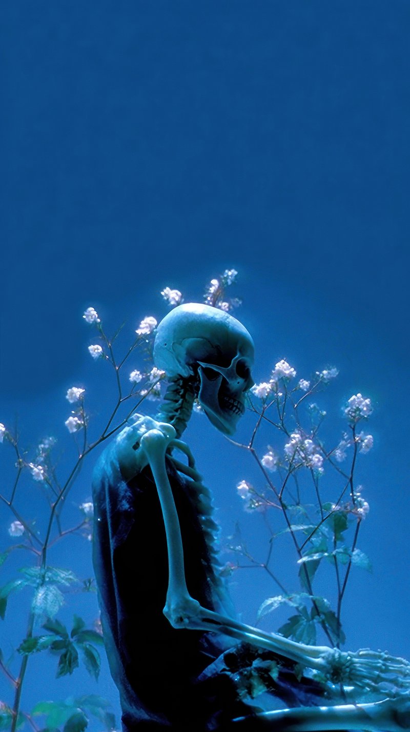 Dark Skeleton Wallpaper Design Images | Free Photos, PNG Stickers ...