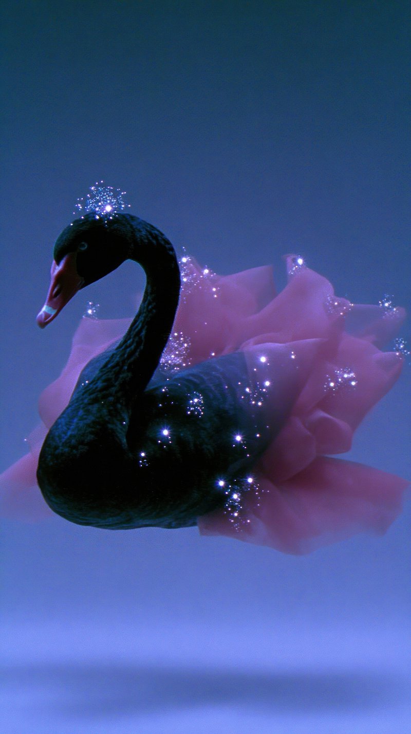 Black Mobile Wallpaper Design Minimal Mindful Images | Free Photos, PNG ...