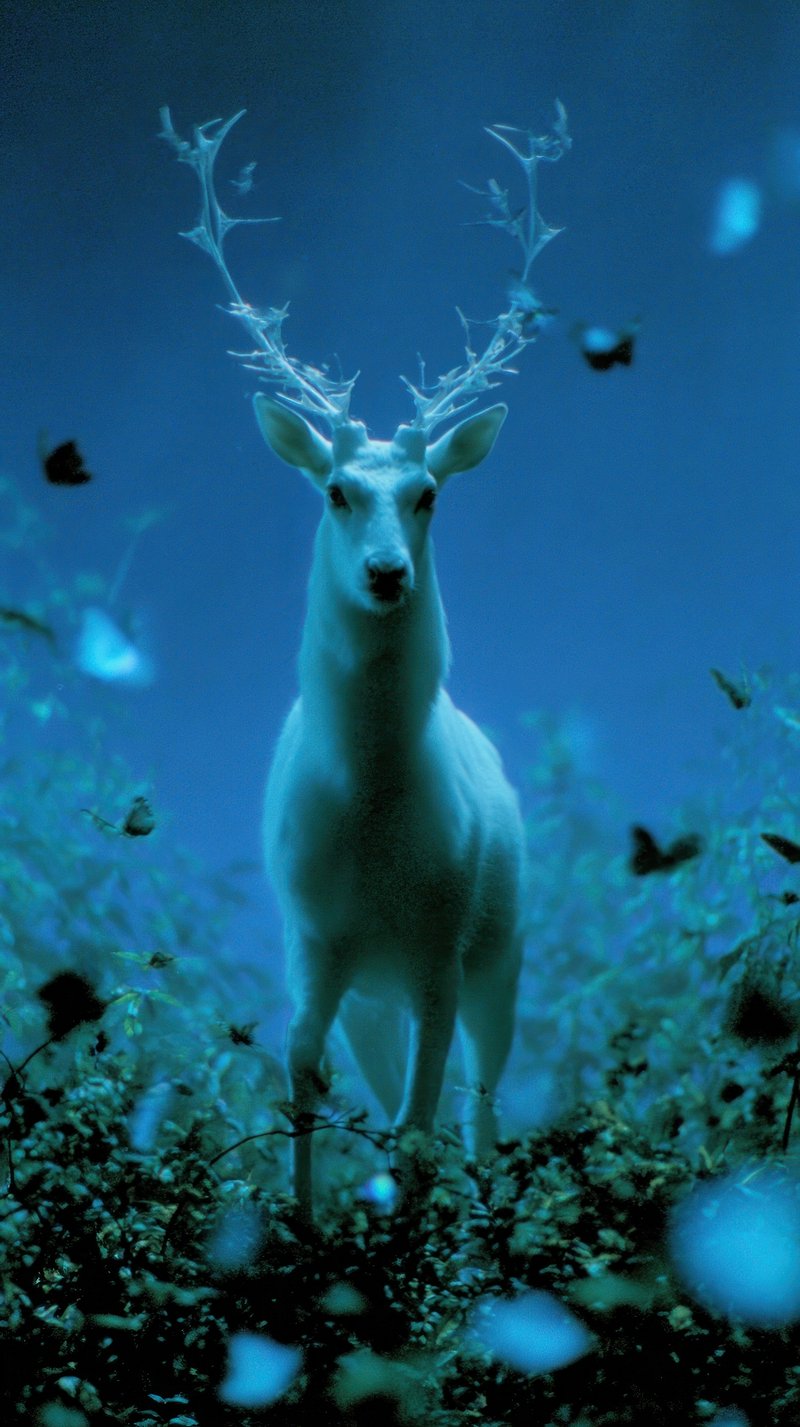 Deer+wallpaper Forest Art Images | Free Photos, PNG Stickers ...