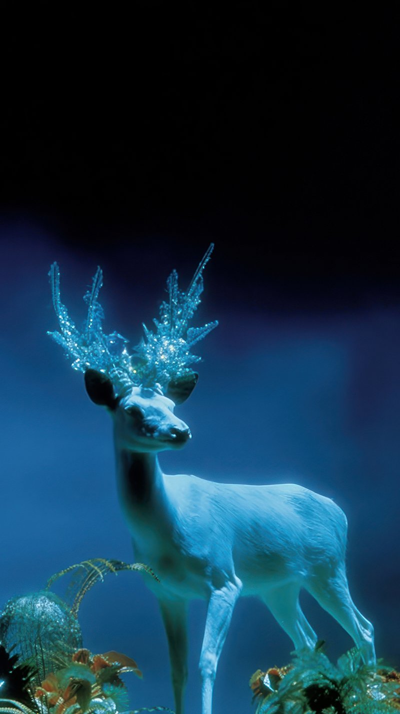 Enchanted+forest+wallpaper Fantasy Images | Free Photos, PNG Stickers ...