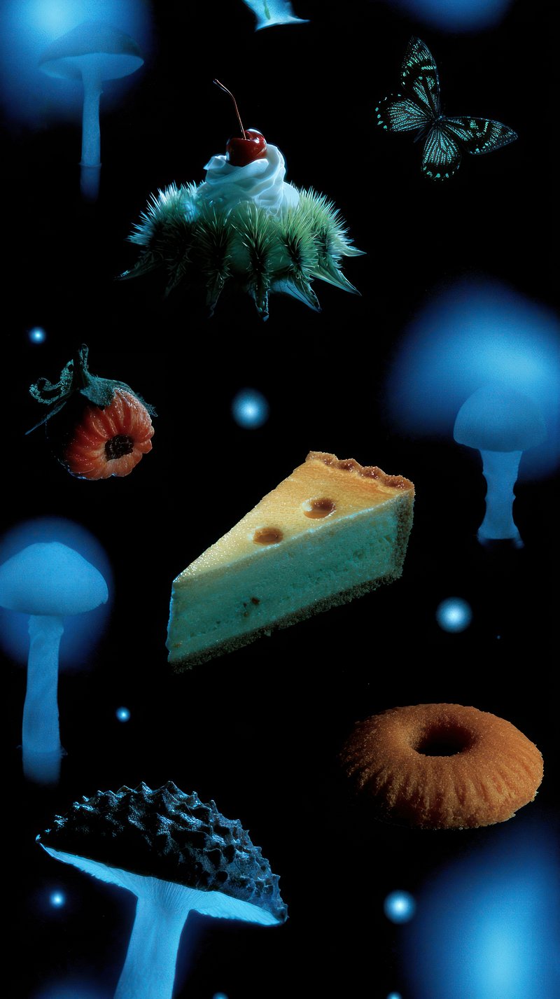 Butterfly Mobile Wallpaper Background Images | Free Photos, PNG ...