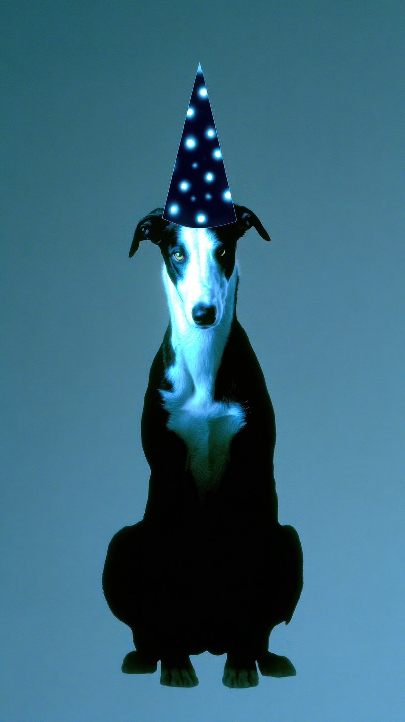 Wallpaper+solid Background Images | Free Photos, PNG Stickers ...