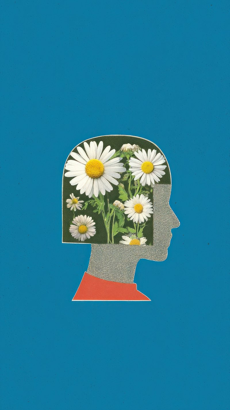 Daisy Wallpapers Art Background Images | Free Photos, PNG Stickers ...