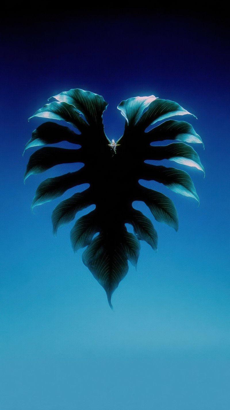 Dark+green+wallpaper Photo Images | Free Photos, PNG Stickers ...