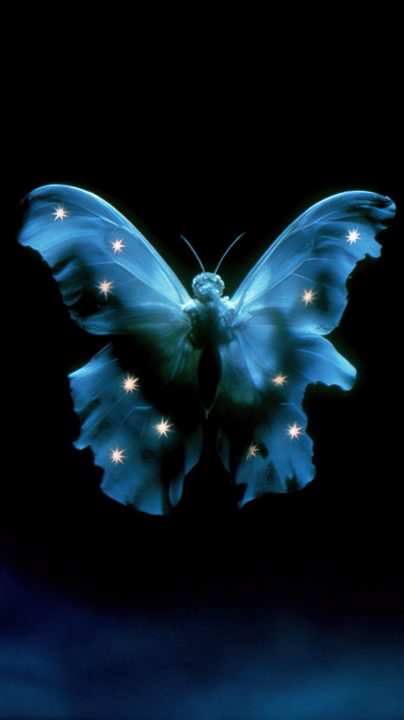 Butterfly Glowing Illustration Images | Free Photos, PNG Stickers ...