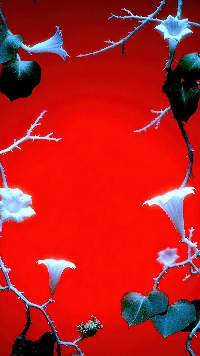 Wallpaper+solid Collage Background Frame Images | Free Photos, PNG ...