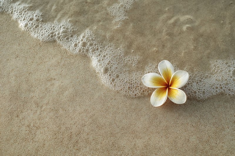 Beach Scene Ocean Sea Nature Vacation Images | Free Photos, PNG ...