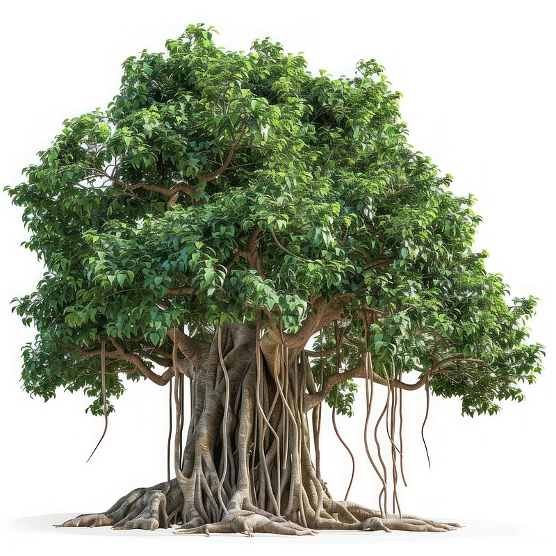 Aerial+photo Tree Images | Free Photos, PNG Stickers, Wallpapers ...