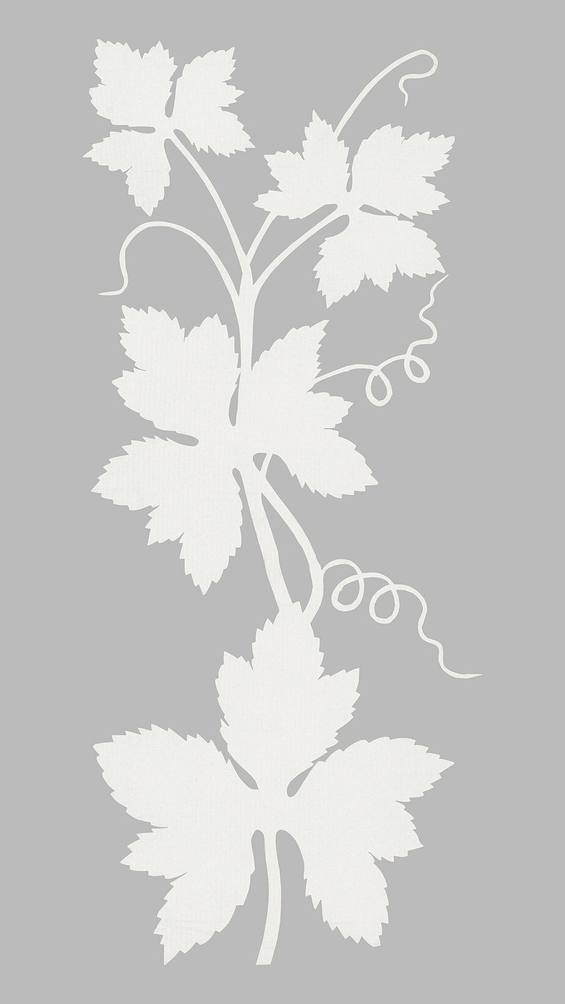 White Vines Design Images | Free Photos, PNG Stickers, Wallpapers ...
